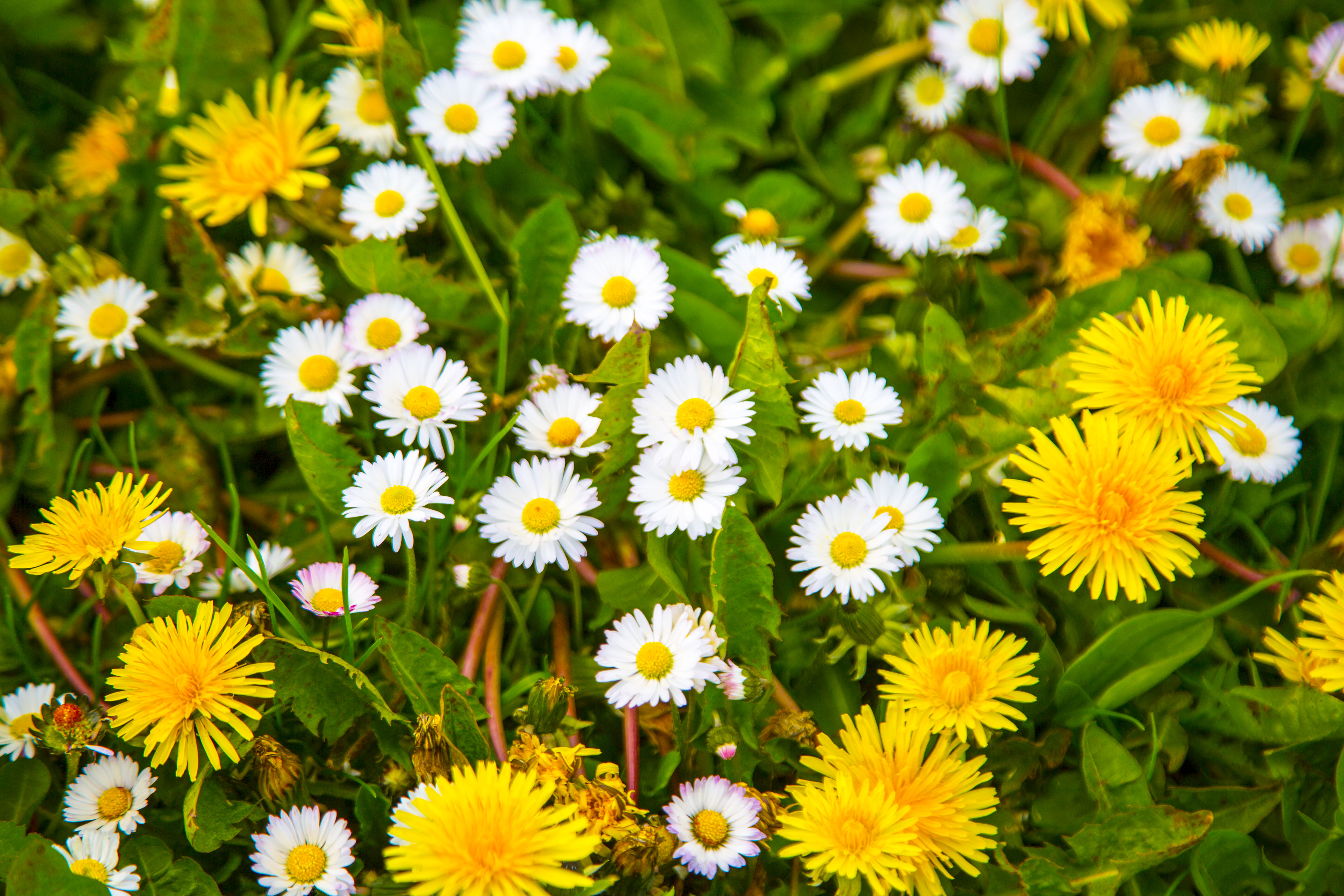 Randaberg kommune - Welcome to Randaberg